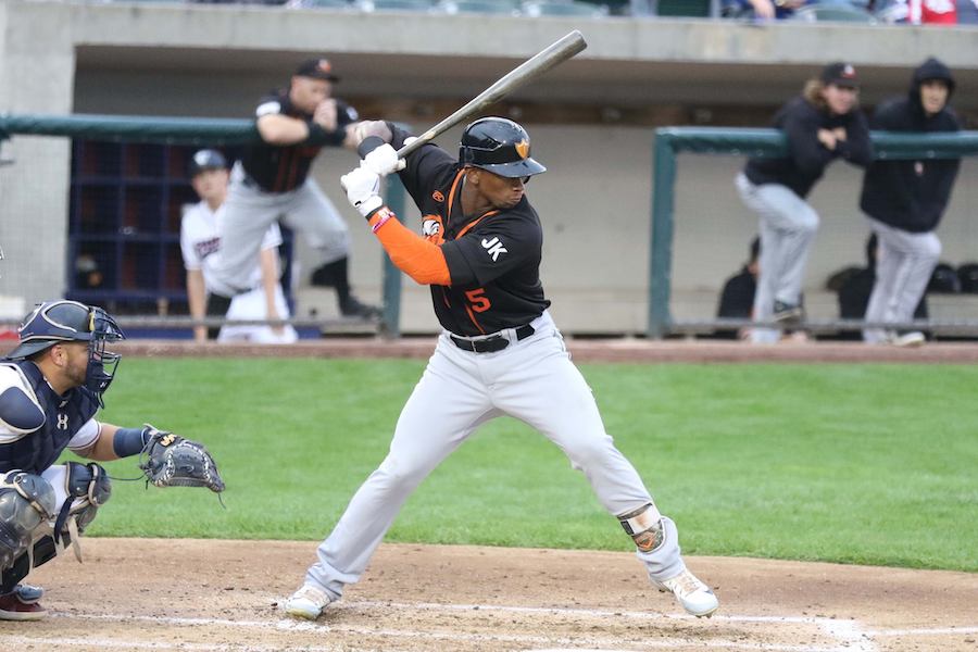 Long Island Ducks are set to return to play in 2021 - Greater Long Island