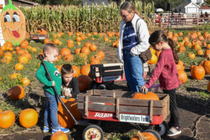 Fall Harvest Festival returns to Brightwaters Farms on Long Island