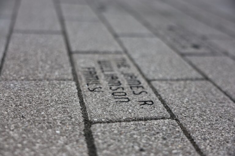 Patchogue-Medford Library opens its new Medford branch