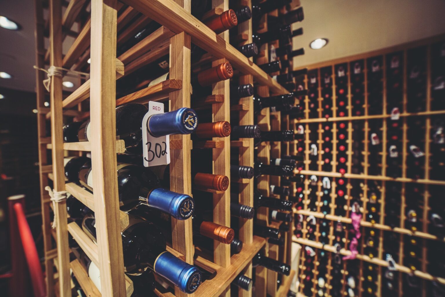 Long Island adventure park Scott's Pointe opens soon; here's what to know