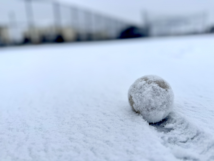 Long Island sees first snowfall of season, with areas seeing over 2 inches