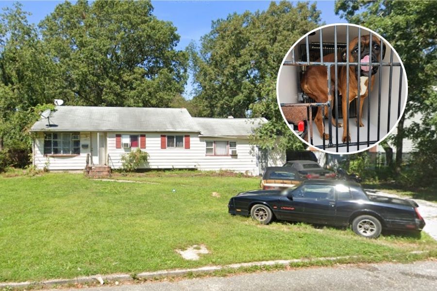Crack cocaine, neglected dogs found in squalid Brentwood home