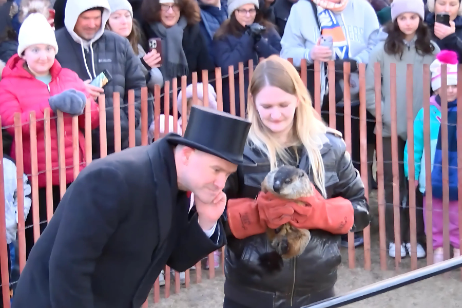 Long Island's groundhogs predict six more weeks of winter