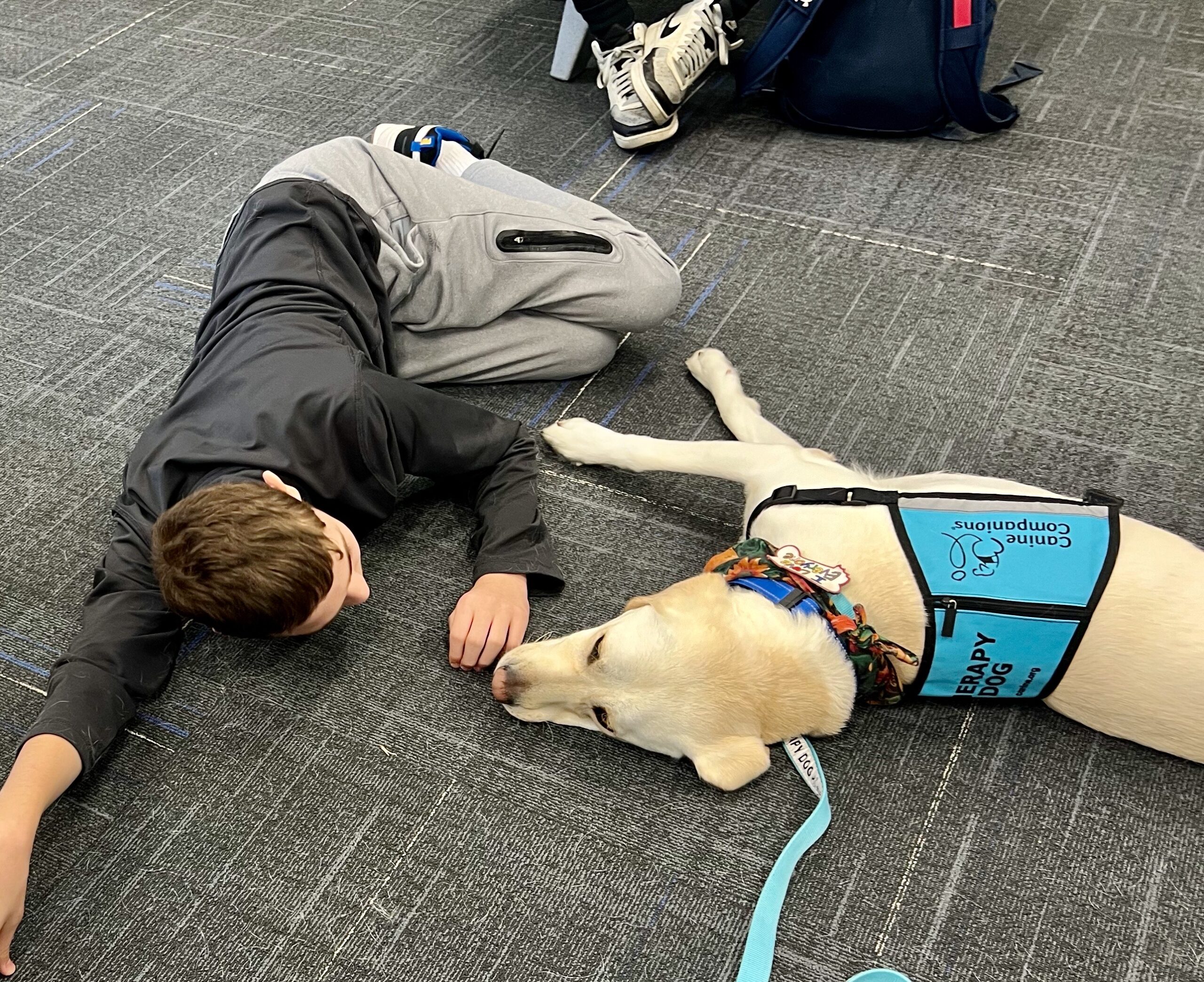 Therapy dogs head to Plainedge to help a district reeling from student ...