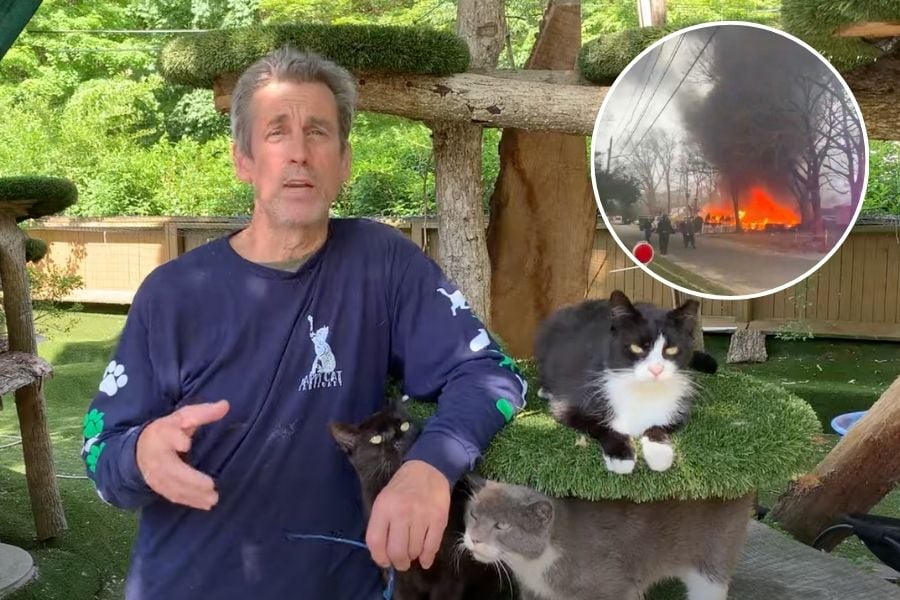 One person dies in Medford fire at 'Happy Cat' sanctuary