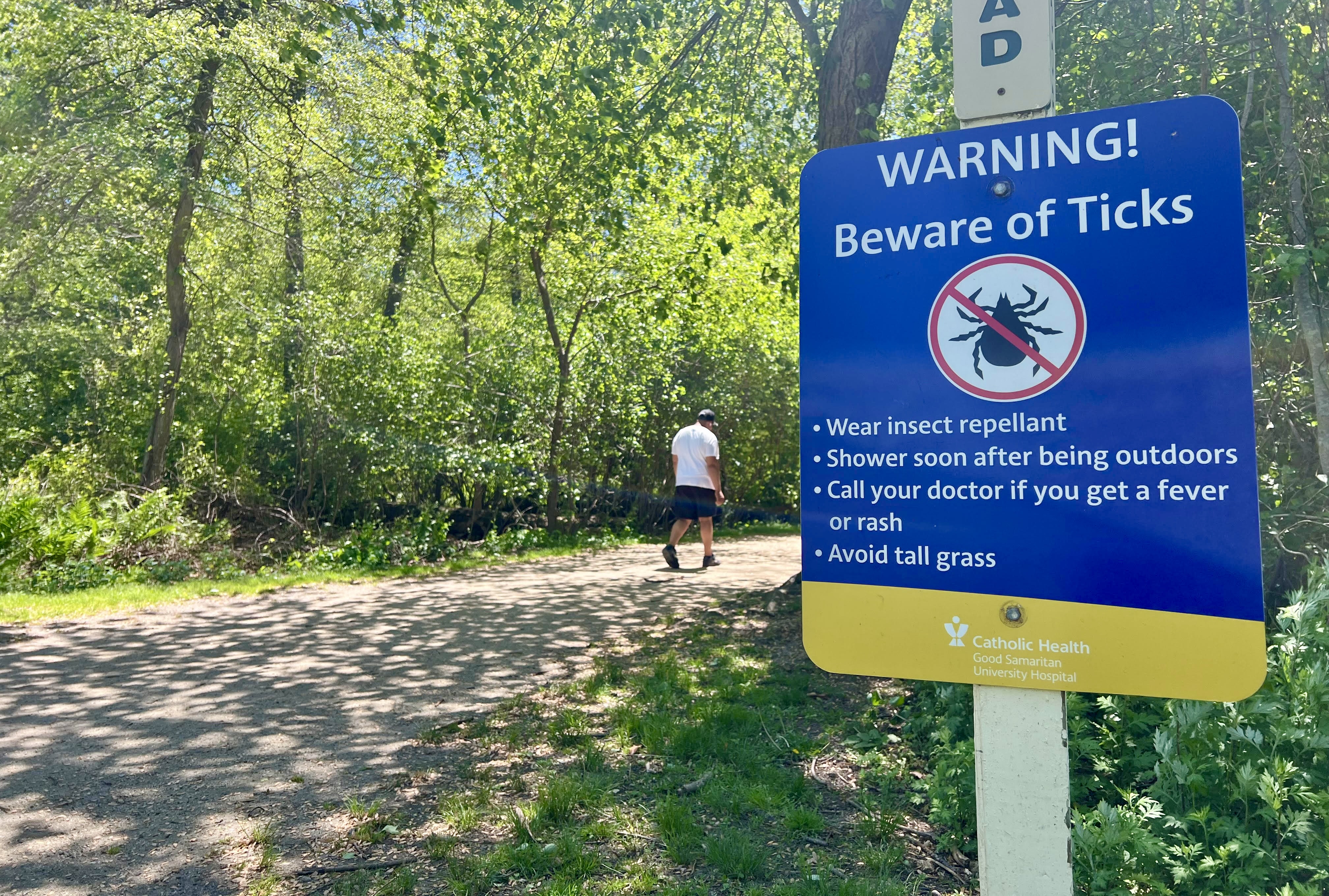 Tick bites climbing on Long Island as we head outside for summer