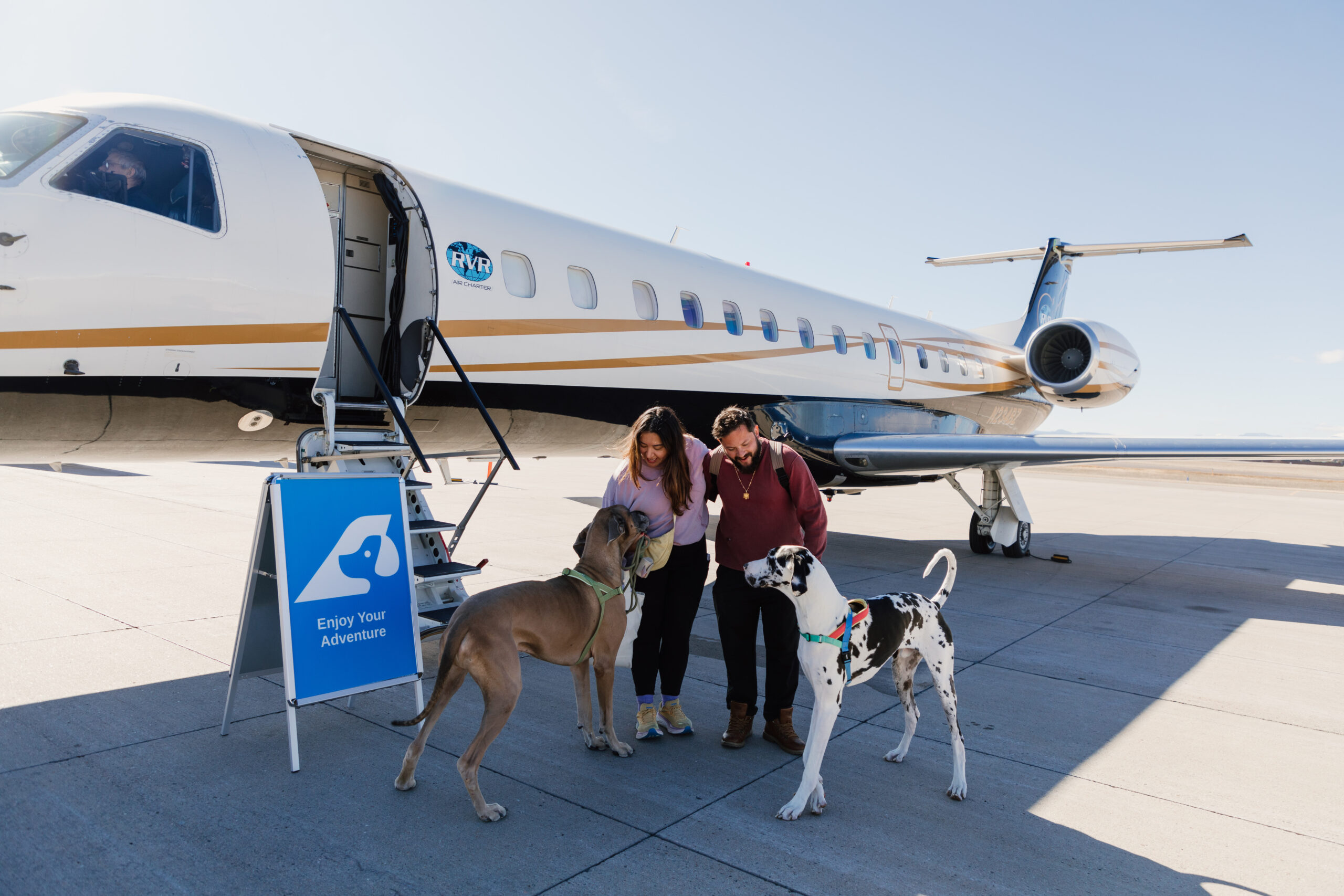 New dog-friendly flights from LI are surprisingly (comparably) affordable
