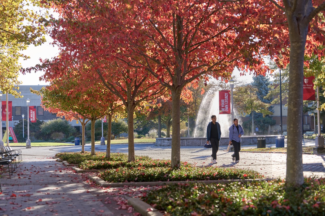 Long Island schools earn high marks in U.S. News' 2026 'Best Colleges ...